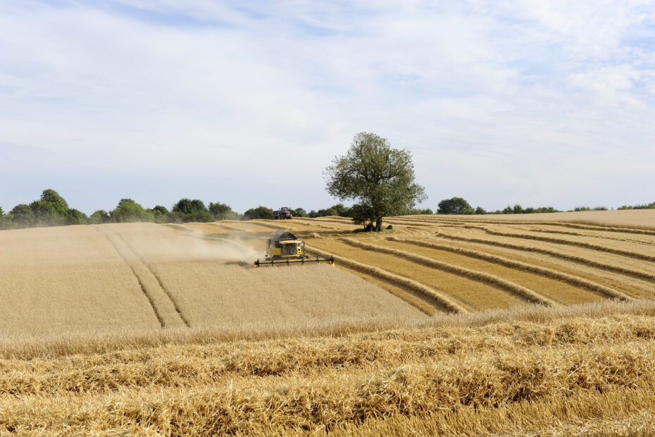 Longer-term projects – Farming Innovation Programme